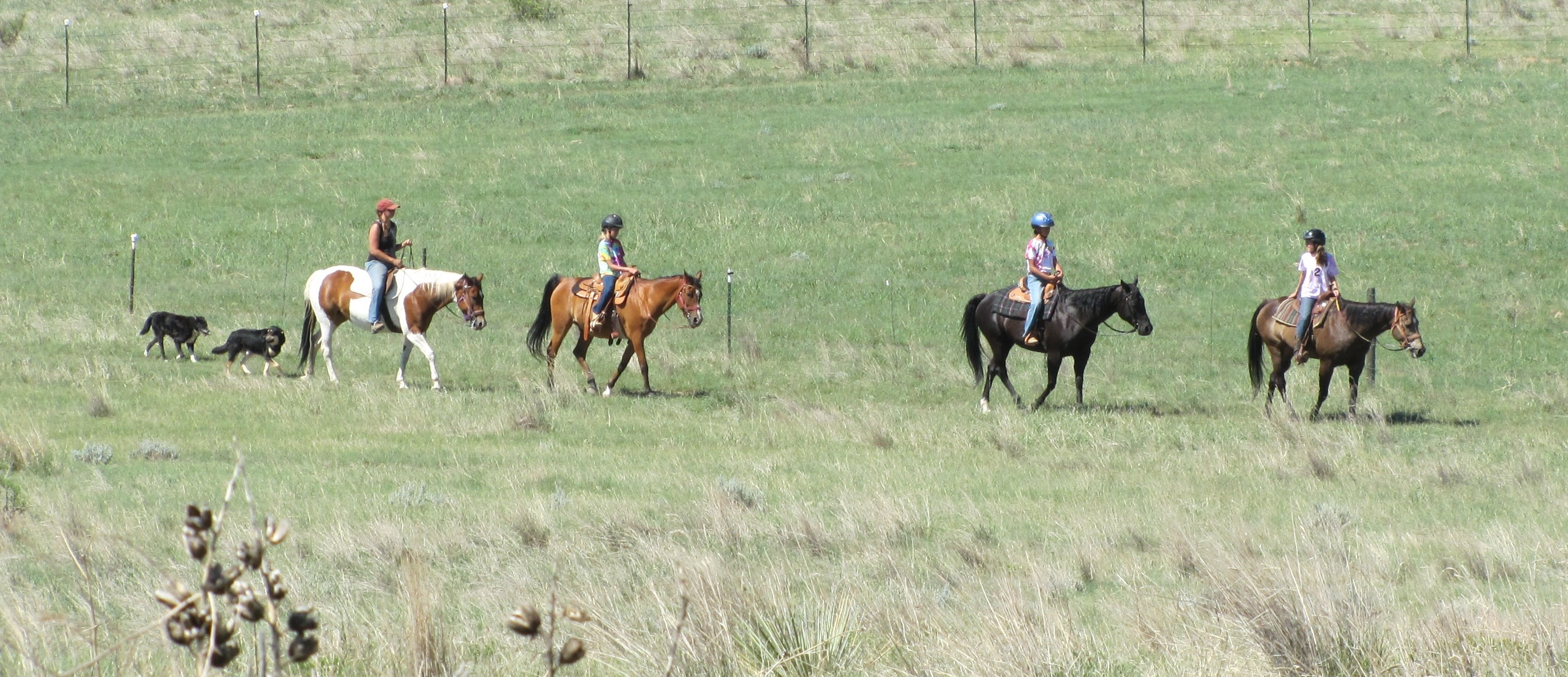 On Track Horsemanship